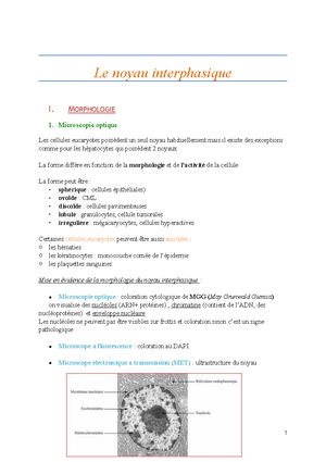 2. Le hyalosplasme ou cytosol - Le hyaloplasme ou cytosol I ...