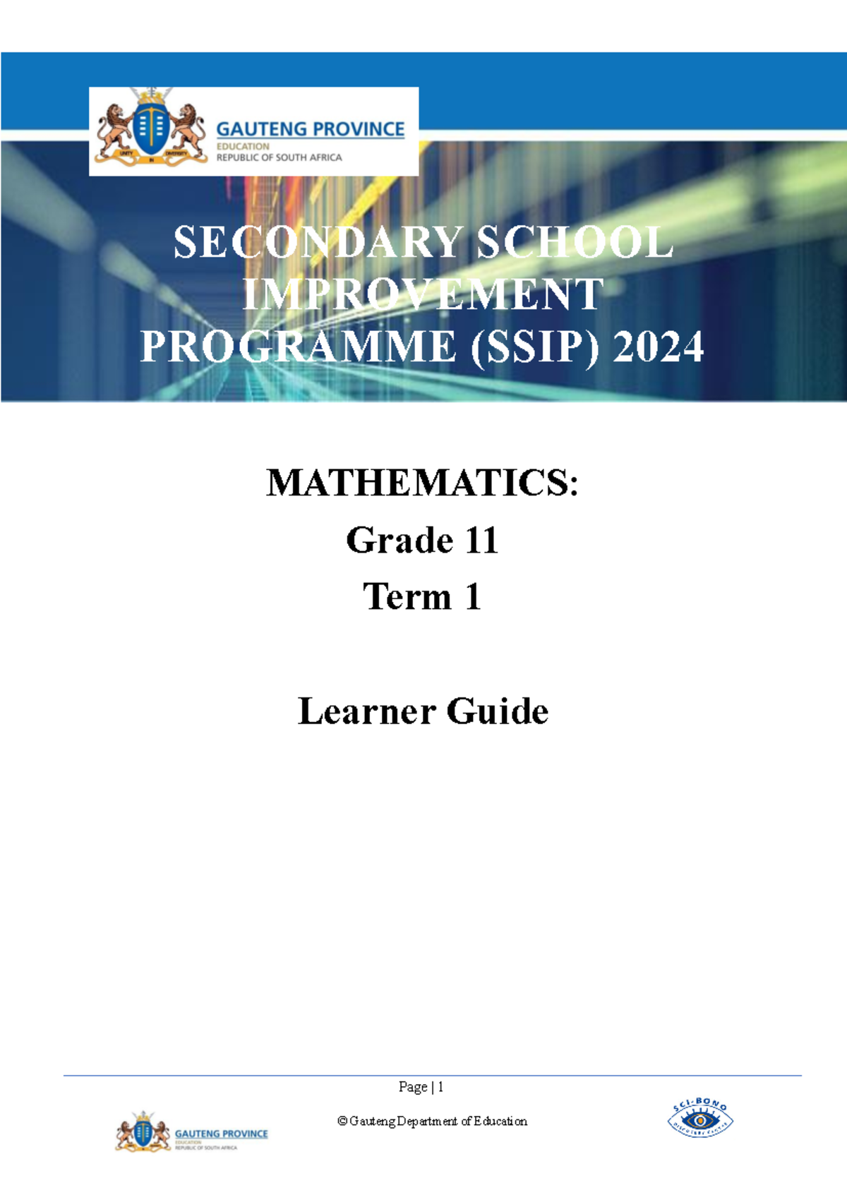 SSIP Mathematics TERM 1 2024 SSIP for Learners 1 Grade 11 - Page | 1 ...