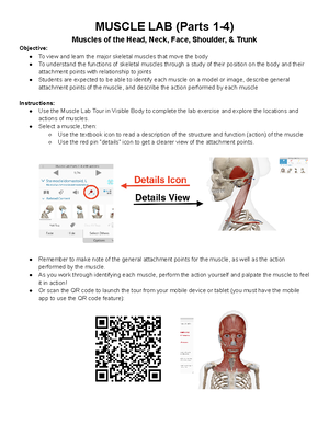 Lab manual planes and positions - Name: Date: Planes and Positions Lab ...