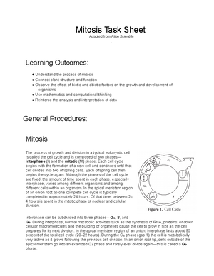 Enzyme Task Sheet - its in the name - Enzyme Lab Learning Outcomes ...