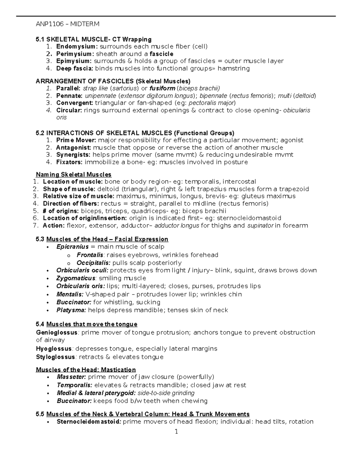 ANP1106 Midterm 2 Notes - 2 5 SKELETAL MUSCLE- CT Wrapping 1 ...