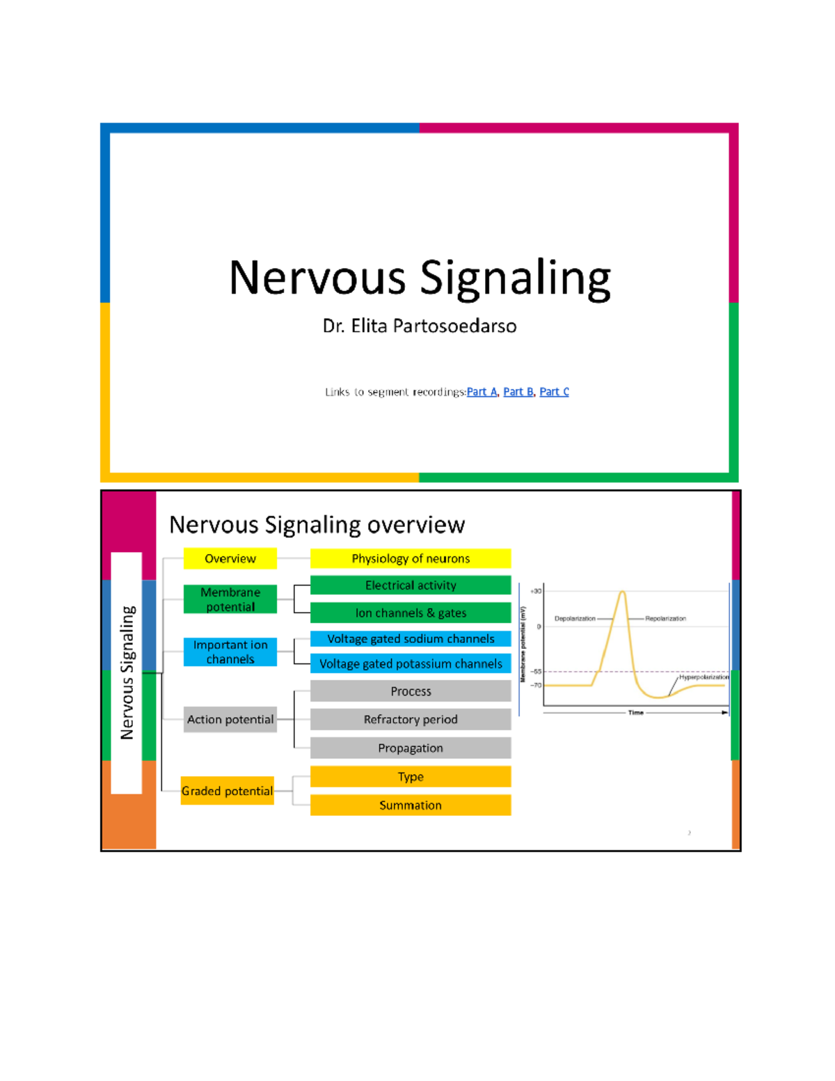 Lecture 15 Nerve Signalling - HLSC1700 - Studocu