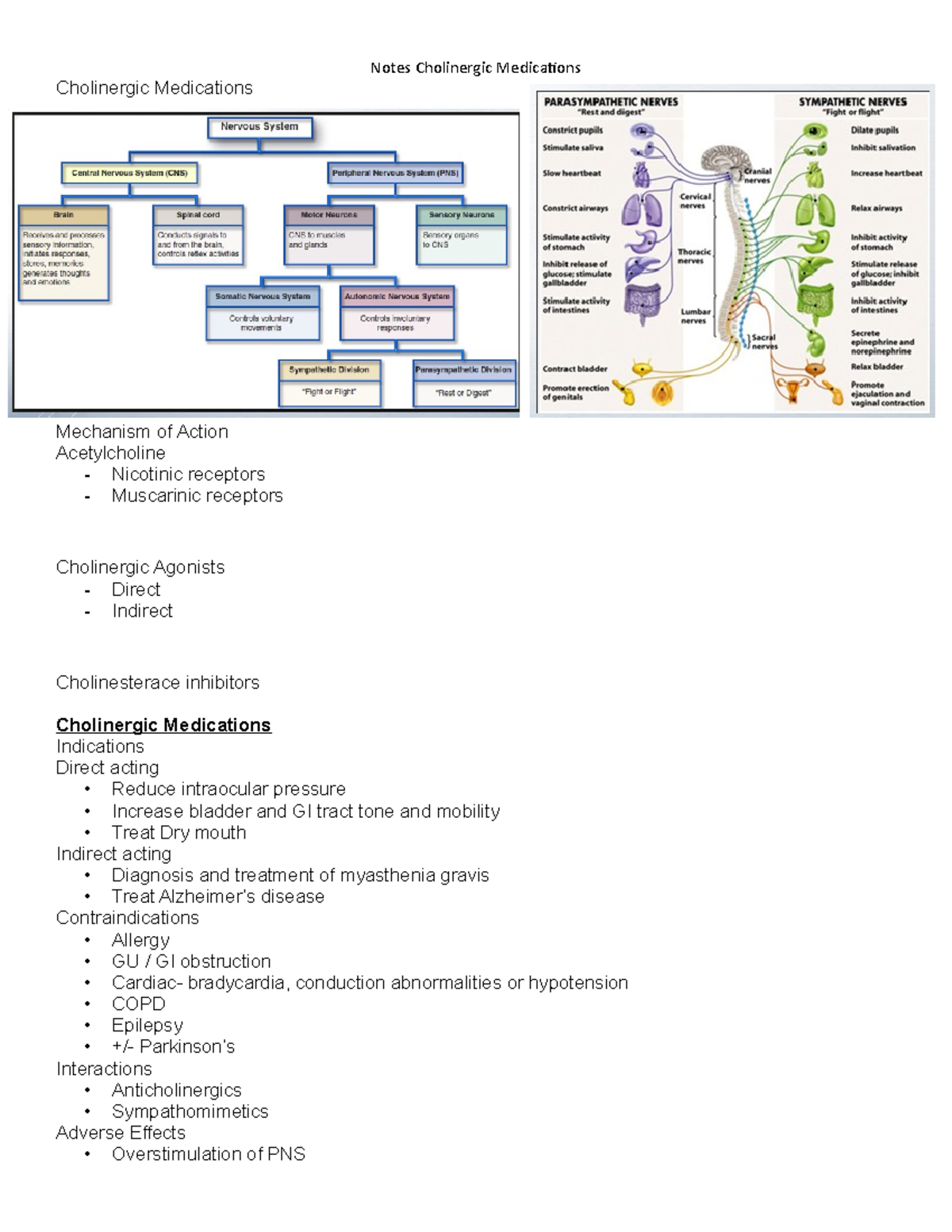 Cholinergics notes - Notes Cholinergic Medications Cholinergic ...