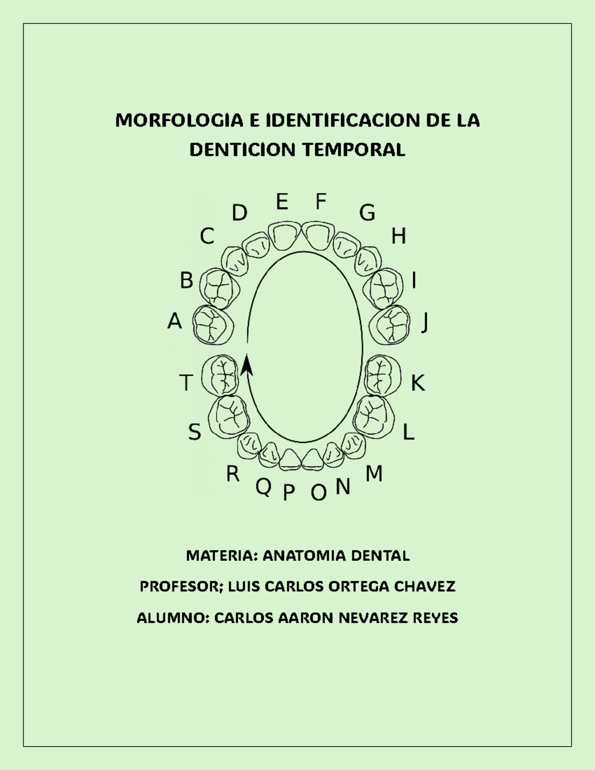 Denticion temporal - MORFOLOGIA E IDENTIFICACION DE LA DENTICION ...