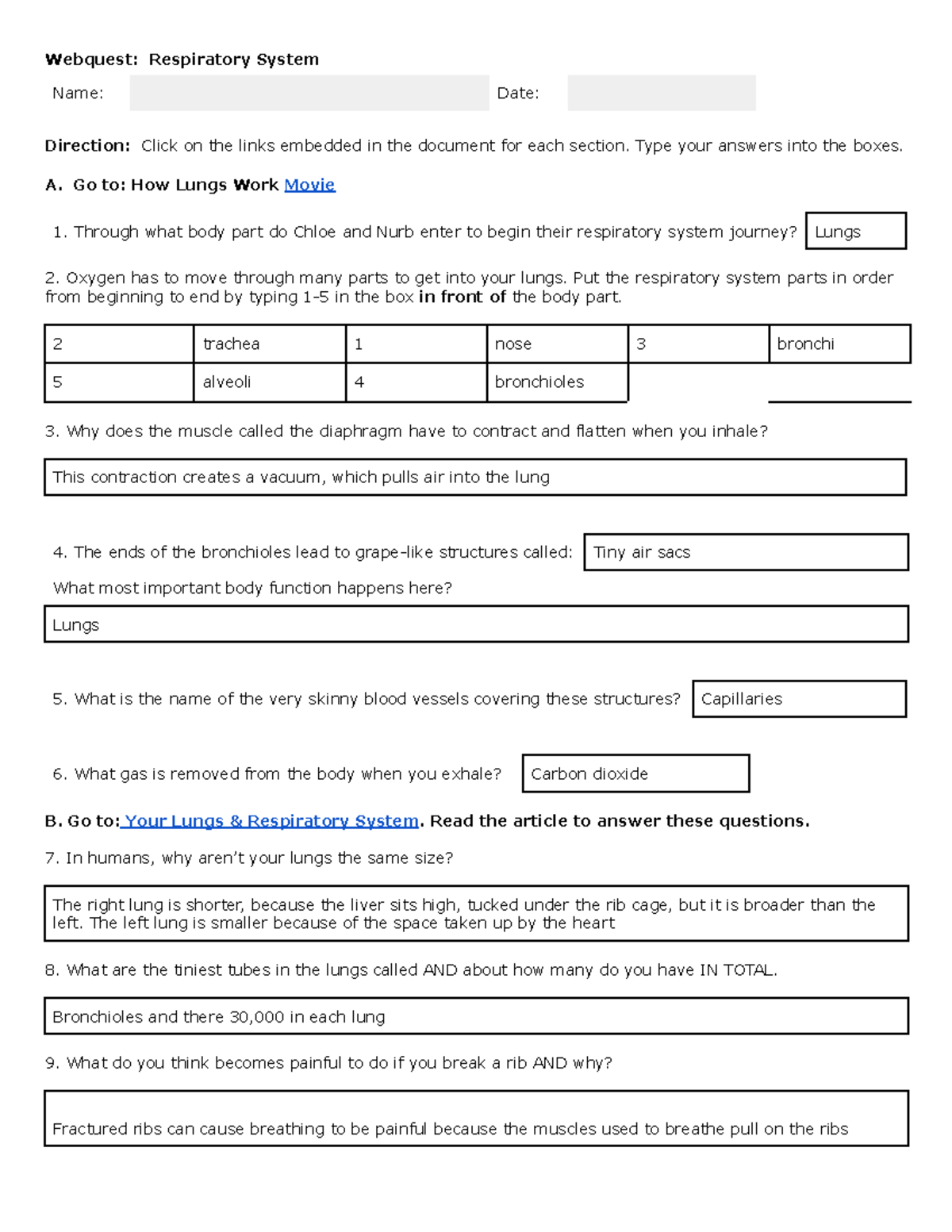 Copy of 04 Webquest Respiratory System - Google Docs - Webquest ...