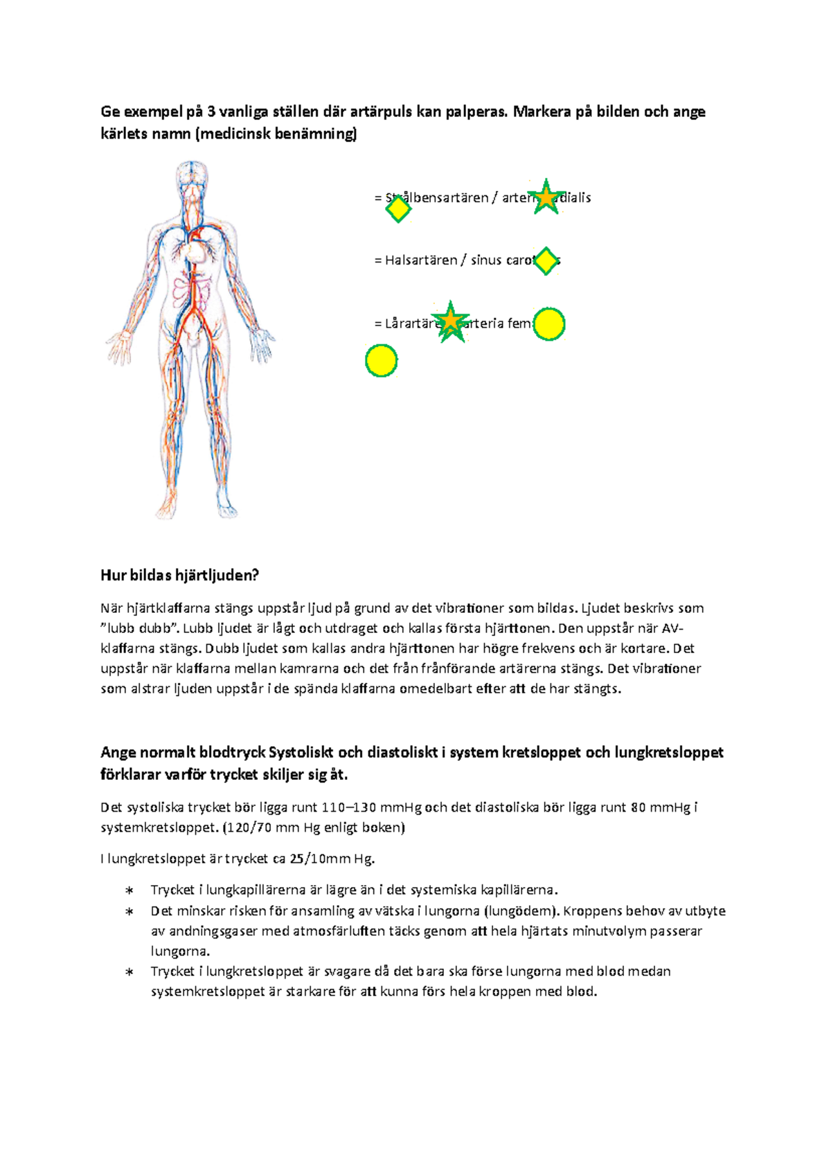 Gamla tentamen + svar BMA200 TEN2 - Ge exempel på 3 vanliga ställen där artärpuls kan palperas ...