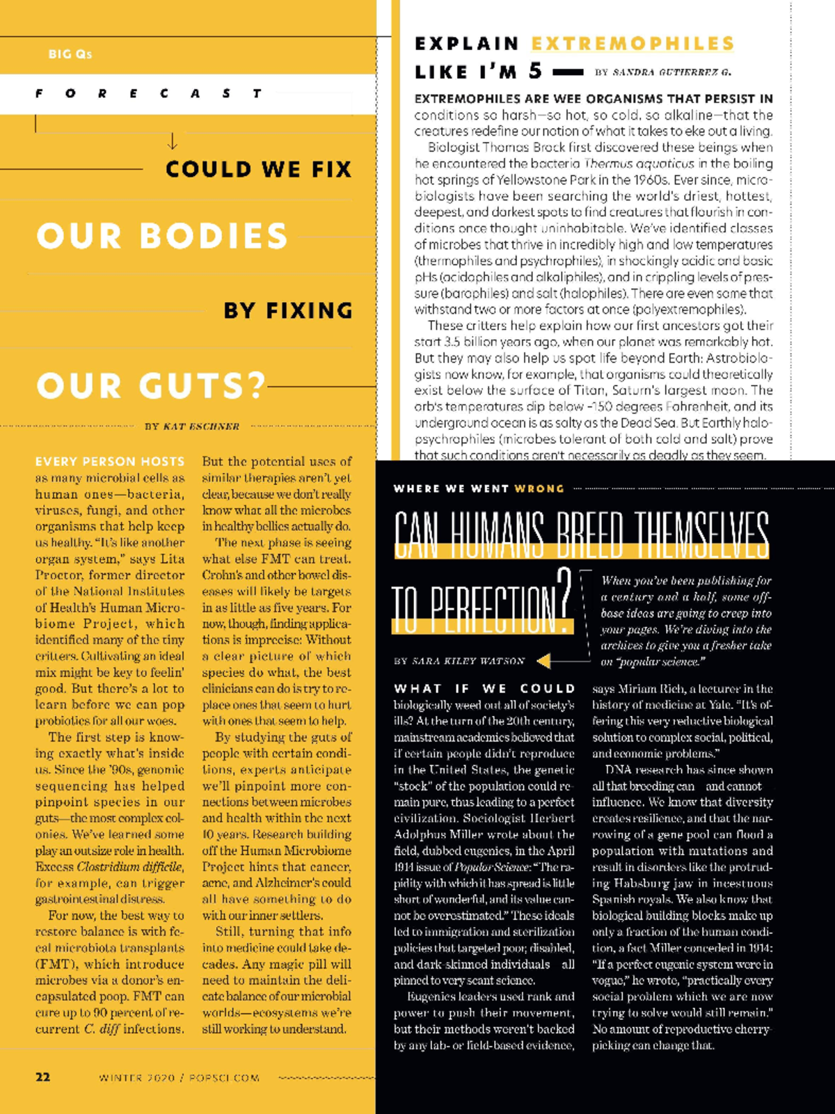 Can humans breed themselves to perfection - Ingles - Studocu