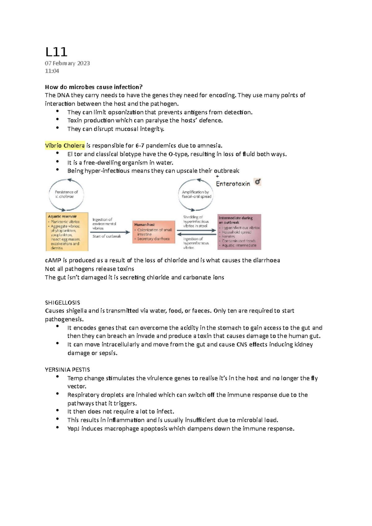 MII2 L11 - Lecture 11 covering the area, secretion systems - L 07 ...