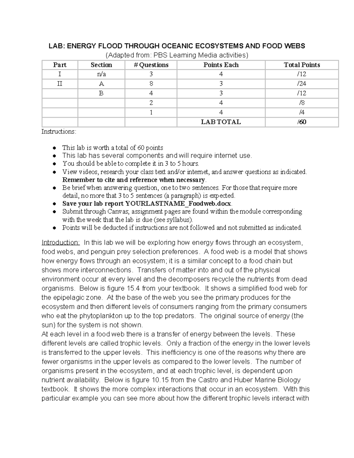 Begay Foodweb - Biology class - LAB: ENERGY FLOOD THROUGH OCEANIC ...