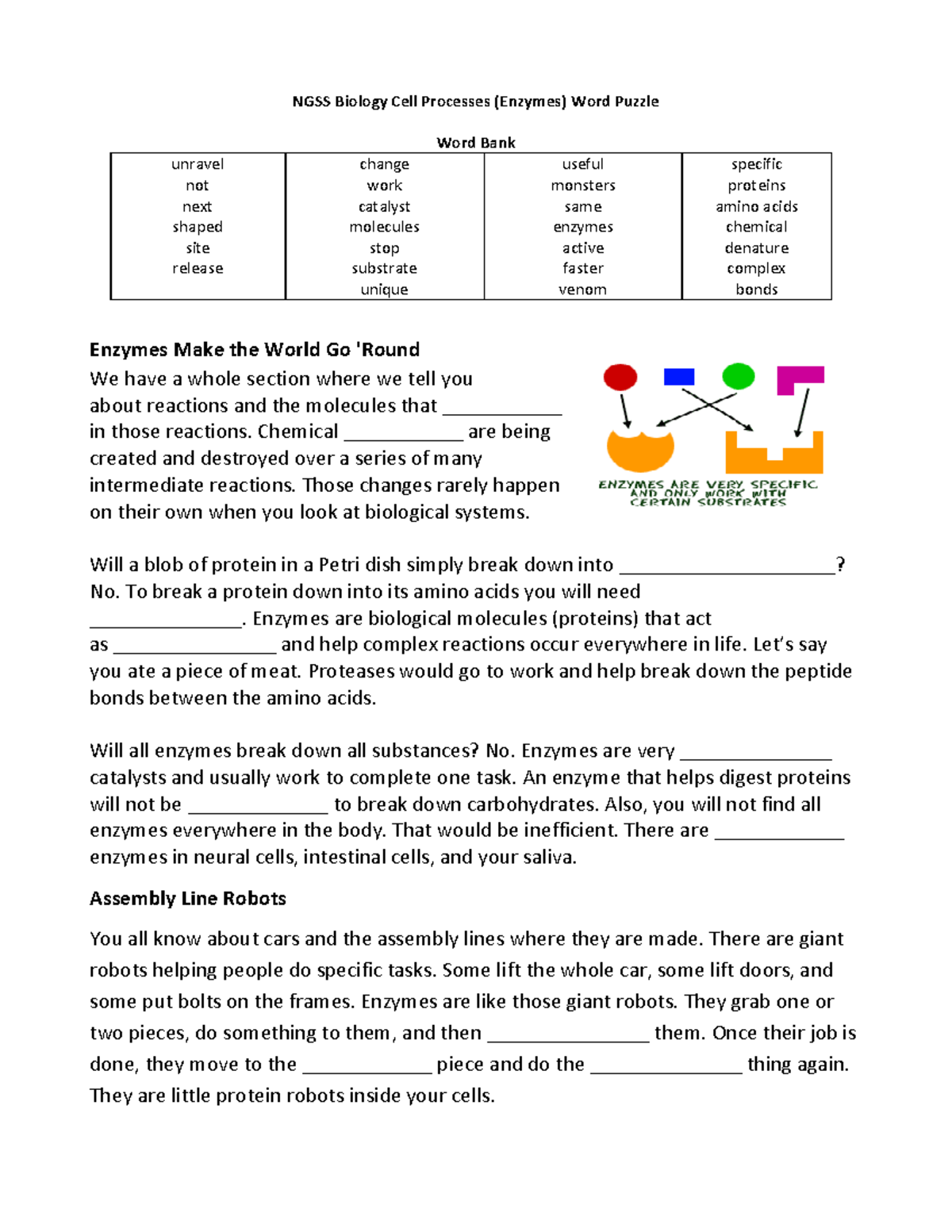 BI Enzyme Word Puzzle SV - NGSS Biology Cell Processes (Enzymes) Word ...