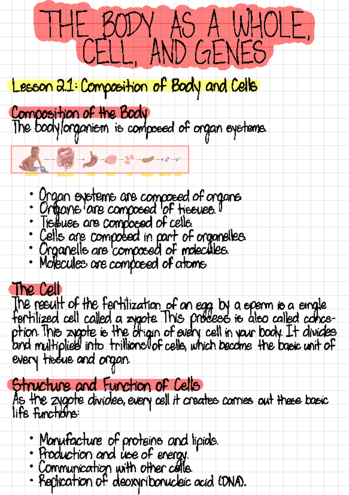The Body as a Whole, Cell, and Gene - THE BODY AS A WHOLE . CELL , AND ...
