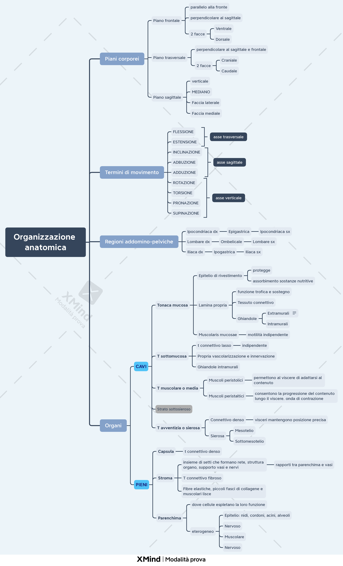 ORGANIZZAZIONE ANATOMICA: generalità - Organizzazione anatomica Piani ...