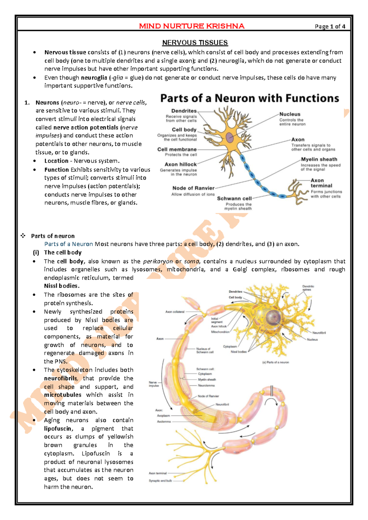 L-4 Nervous tissues - NERVOUS TISSUES Nervous tissue consists of (1) neurons (nerve cells ...