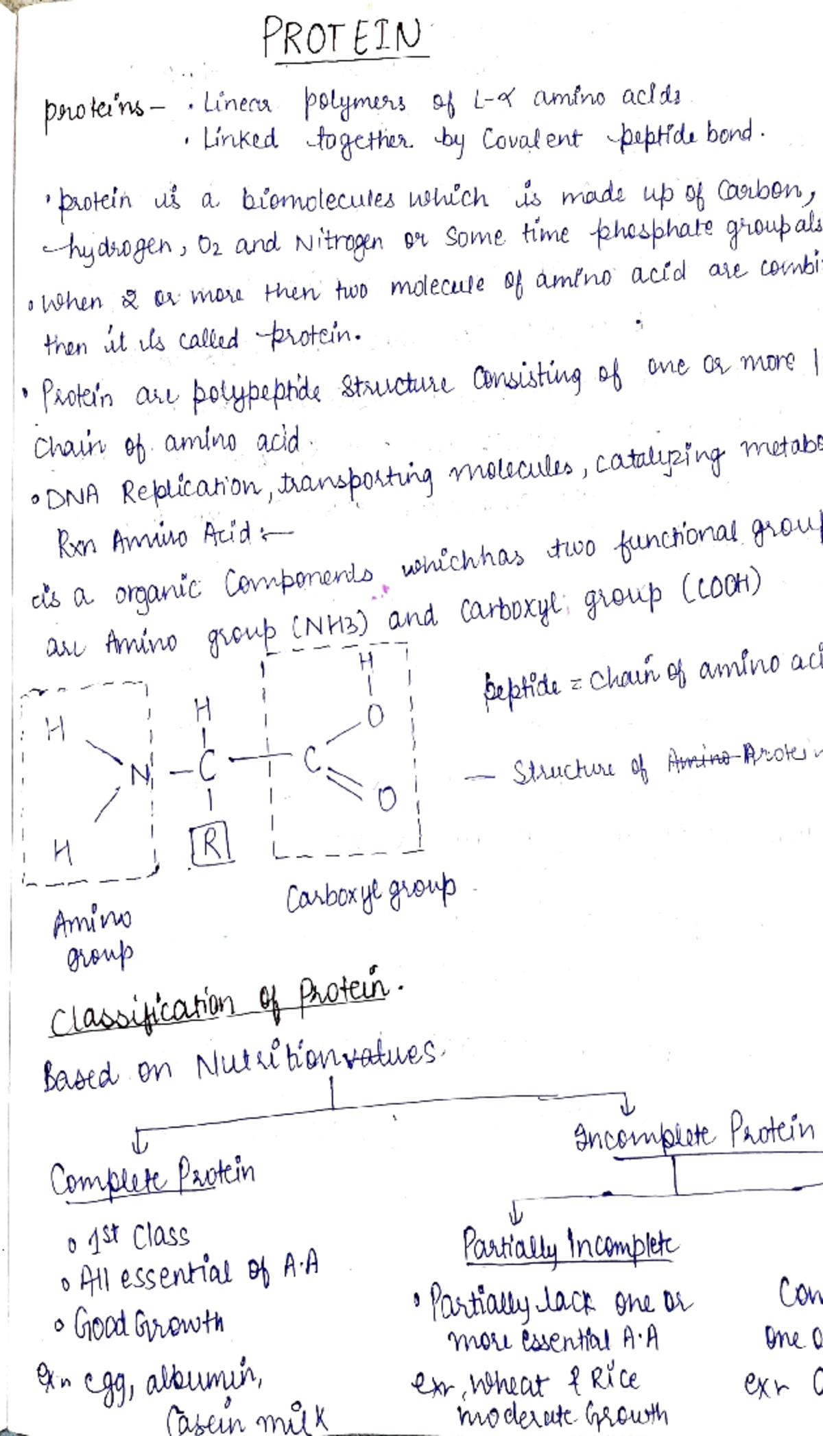Protein - Introduction to protein - Studocu
