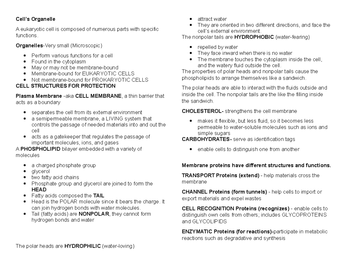Biology Chapter 3 - Lecture notes 1-2 - Cell’s Organelle A eukaryotic ...