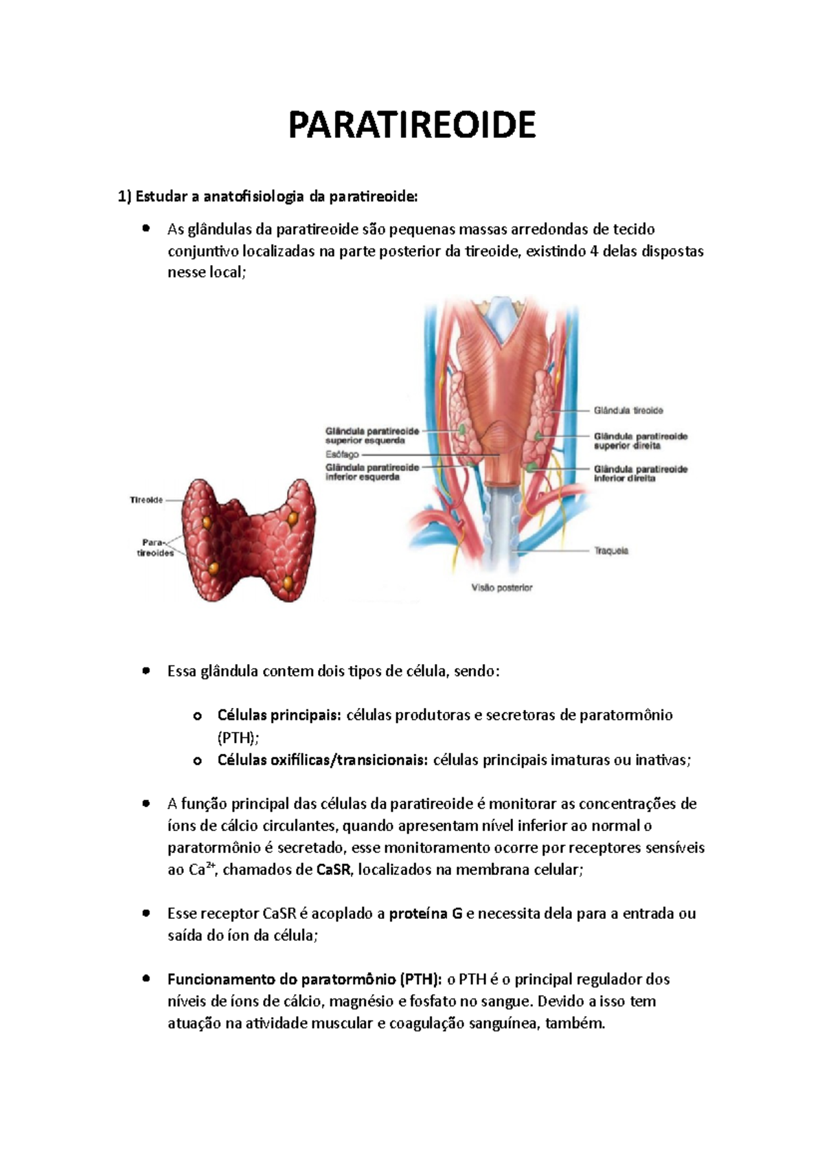 Paratireoide - Resumo acadêmico - PARATIREOIDE 1) Estudar a ...