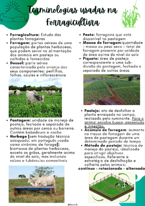 Relatório de Forragicultura e agrostrologia - Agrostrologia e ...