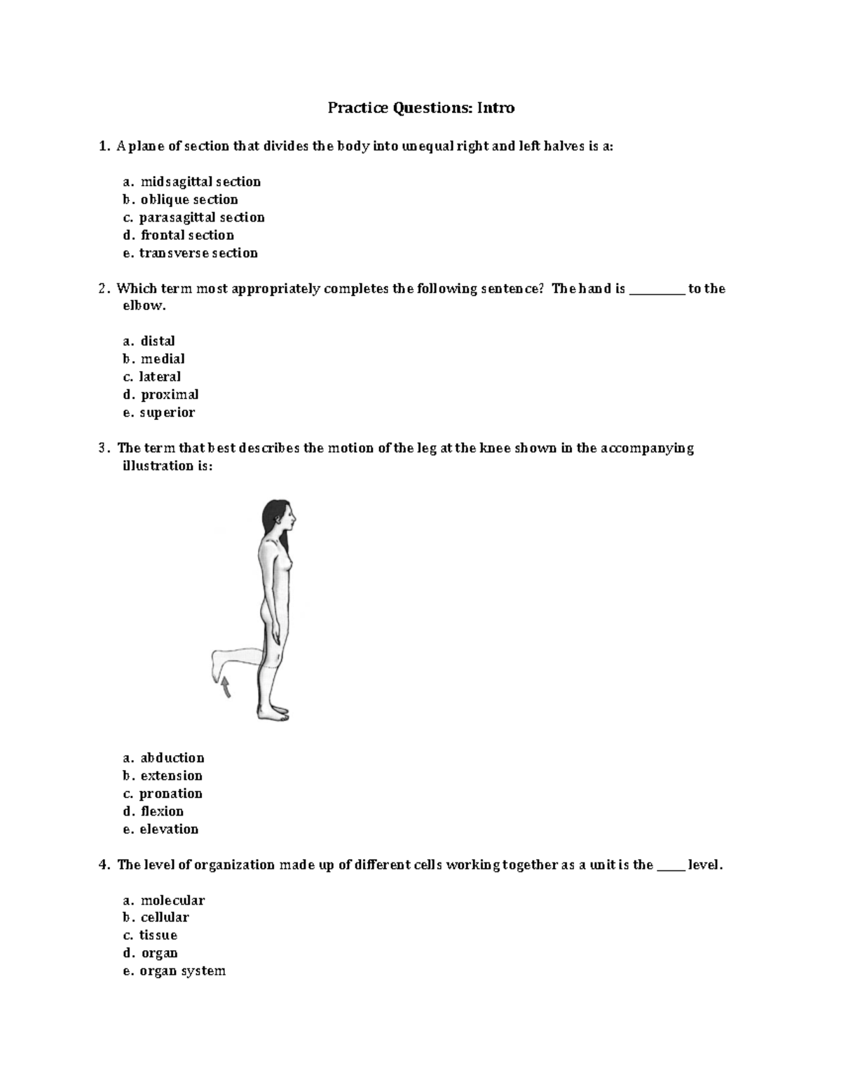 Intro Practice Questions - Practice Questions: Intro A plane of section ...