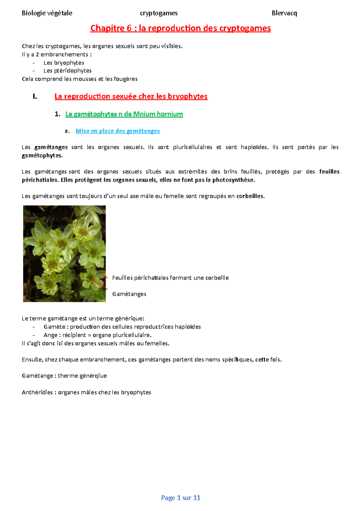 Chapitre 6 - Notes de cours 6 - Chapitre 6 : la reproduction des ...