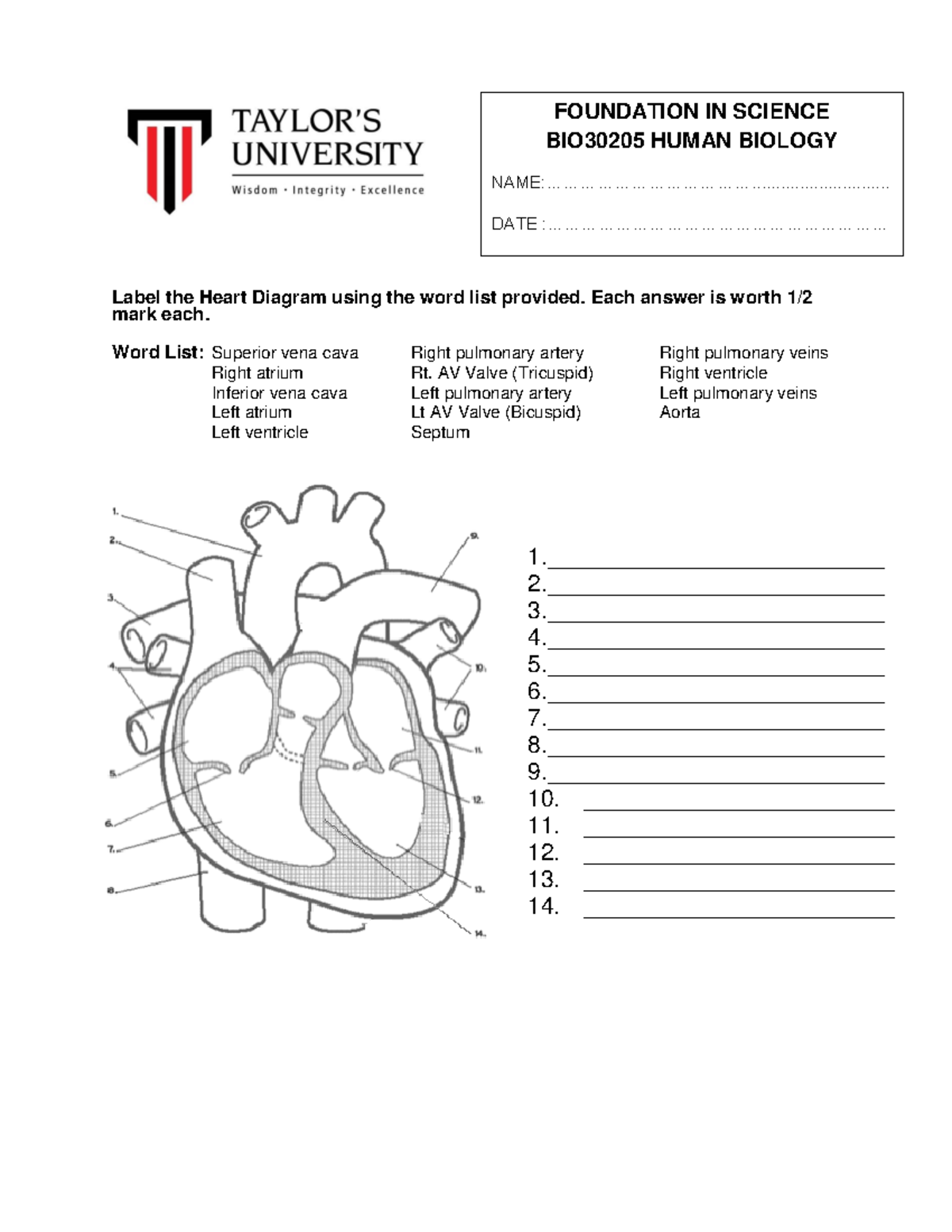 Tutorial 2 Transport System - Label the Heart Diagram using the word ...