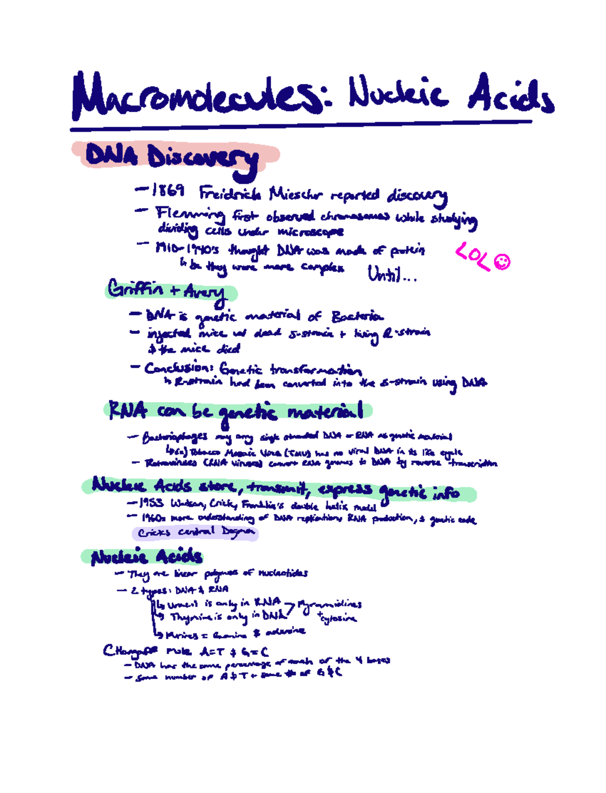 Macromolecules: nuclei acids - Macromolecules Nucleic Acids DNA ...