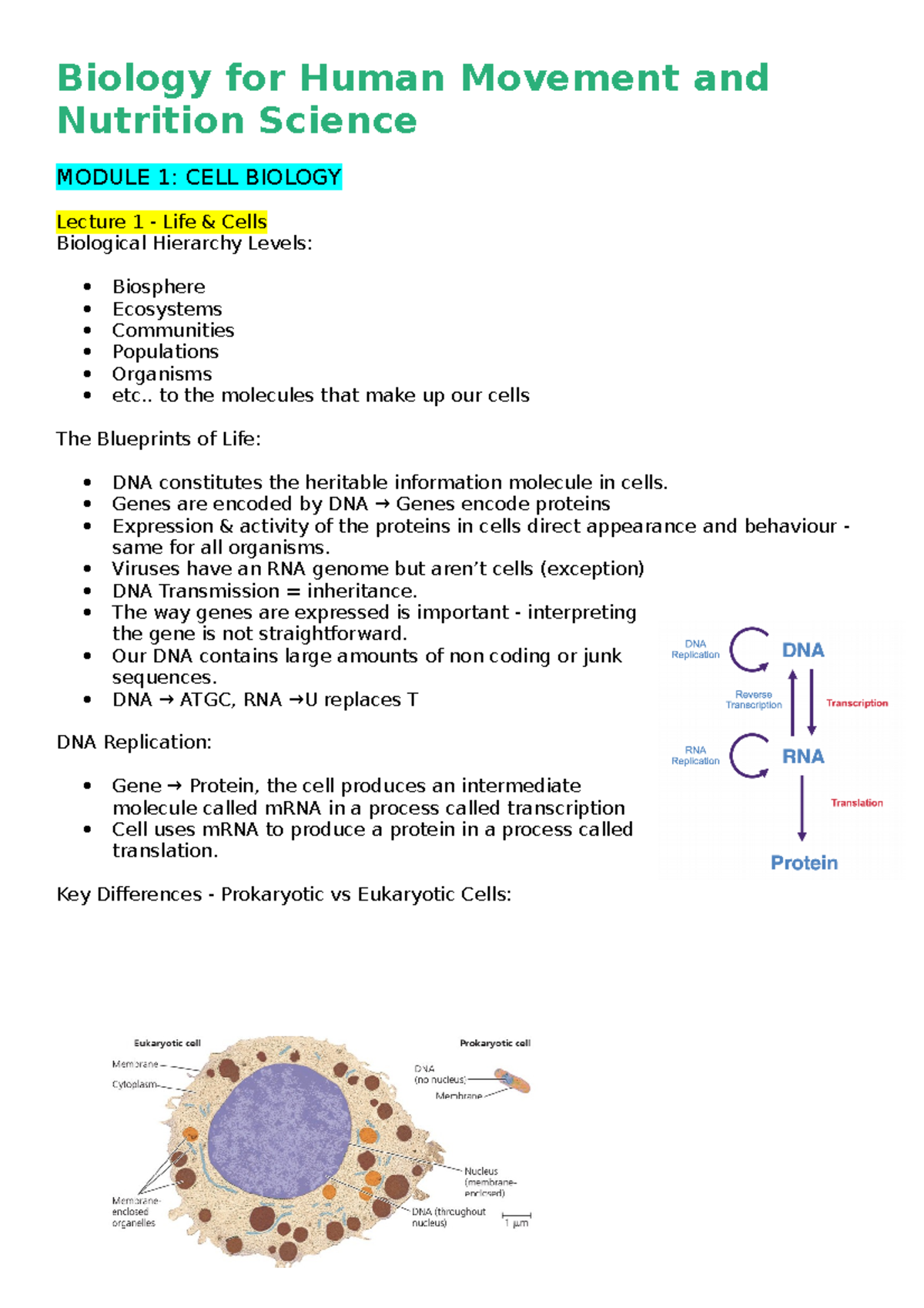 BIOM1050 Module 1 & 2 Lecture Notes - Biology for Human Movement and ...