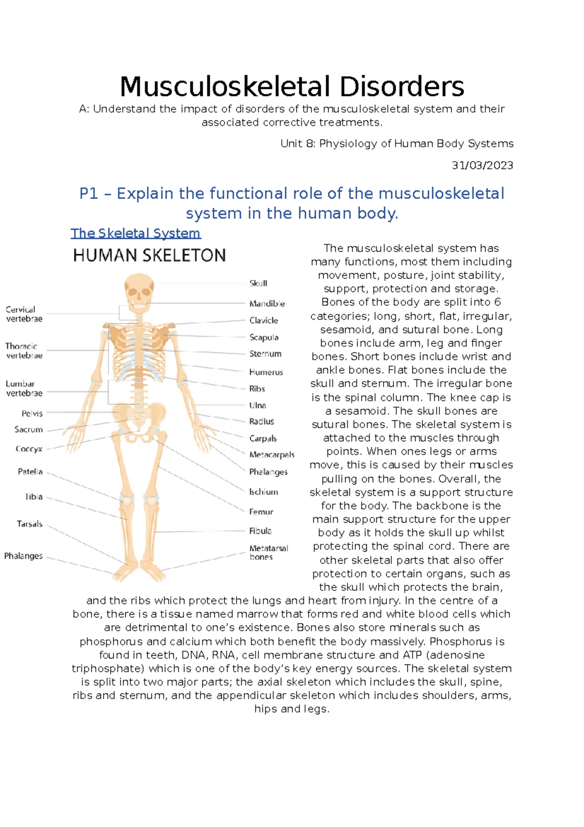 8.1 - Unit 8 - Assingment A - Musculoskeletal Disorders, Recieved a ...