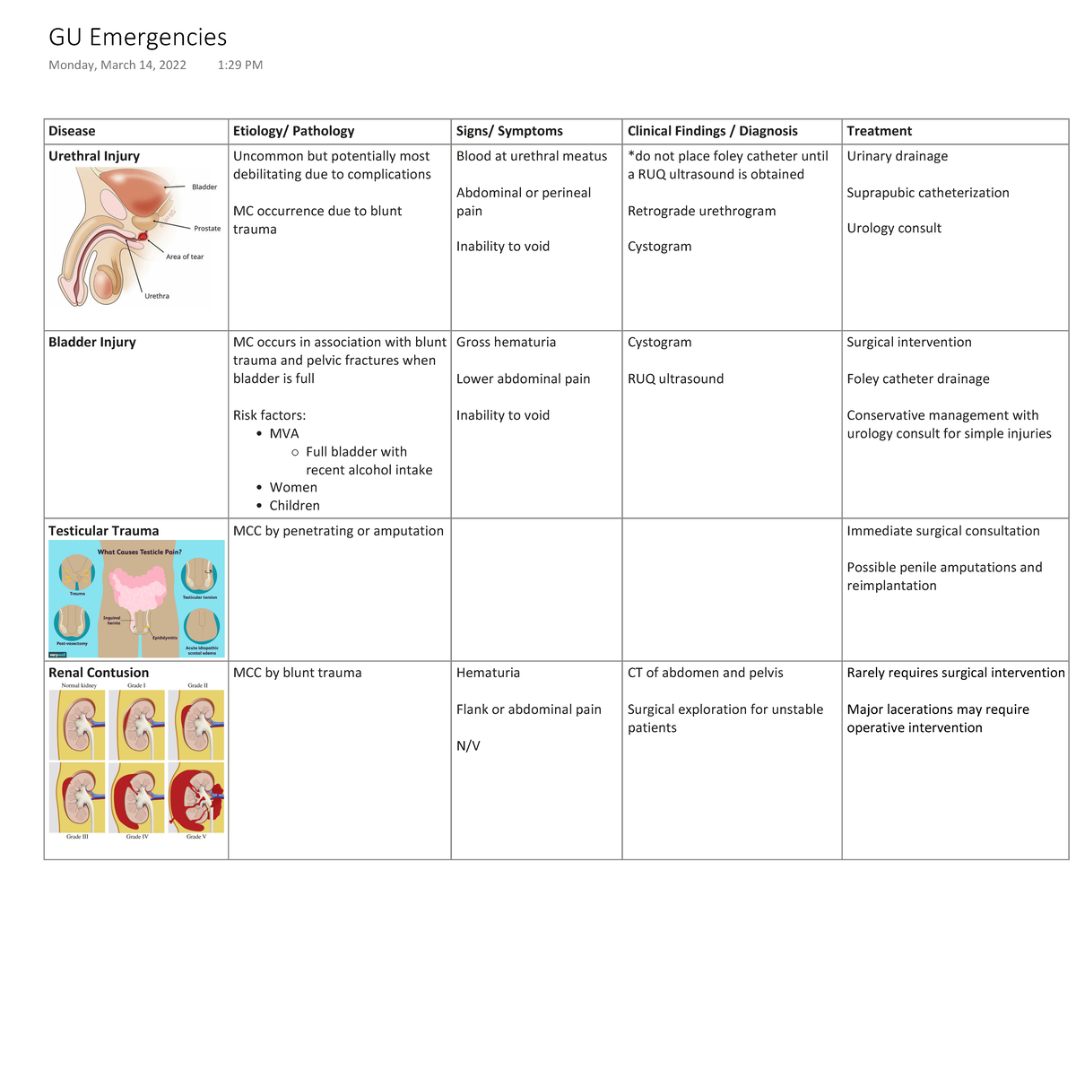 GU Emergencies - gu emergency conditions - Disease Etiology/ Pathology ...