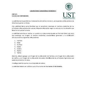 Laboratorio Anatomia - GUIA DE LABORATORIO ANATOMIA ASIGNATURA ANATOMIA ...