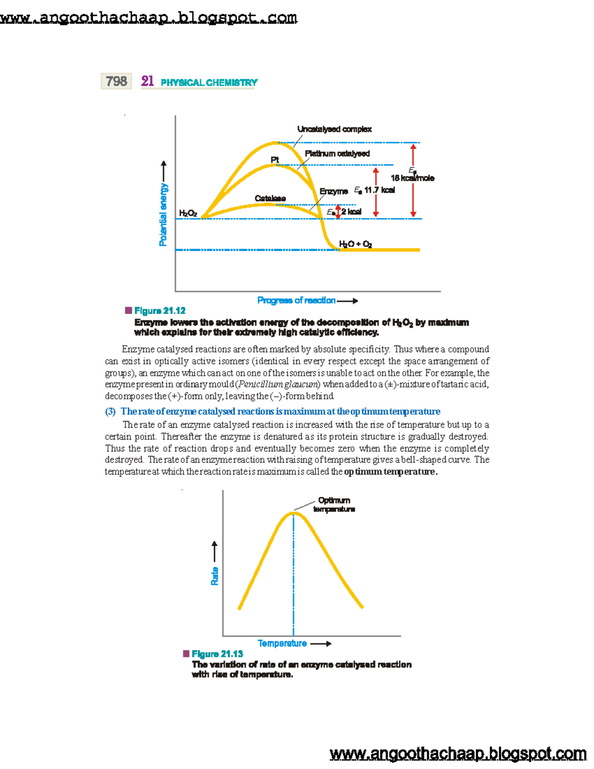 Colloids - Physical chemistry notes - 2121212121 E E E Enzyme catalysed ...