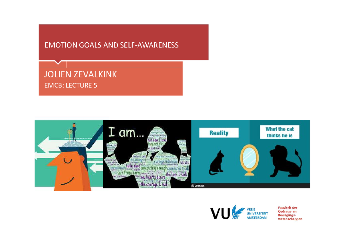 Lecture 5 emotion goals and self awareness - 1 EMOTION GOALS AND SELF ...