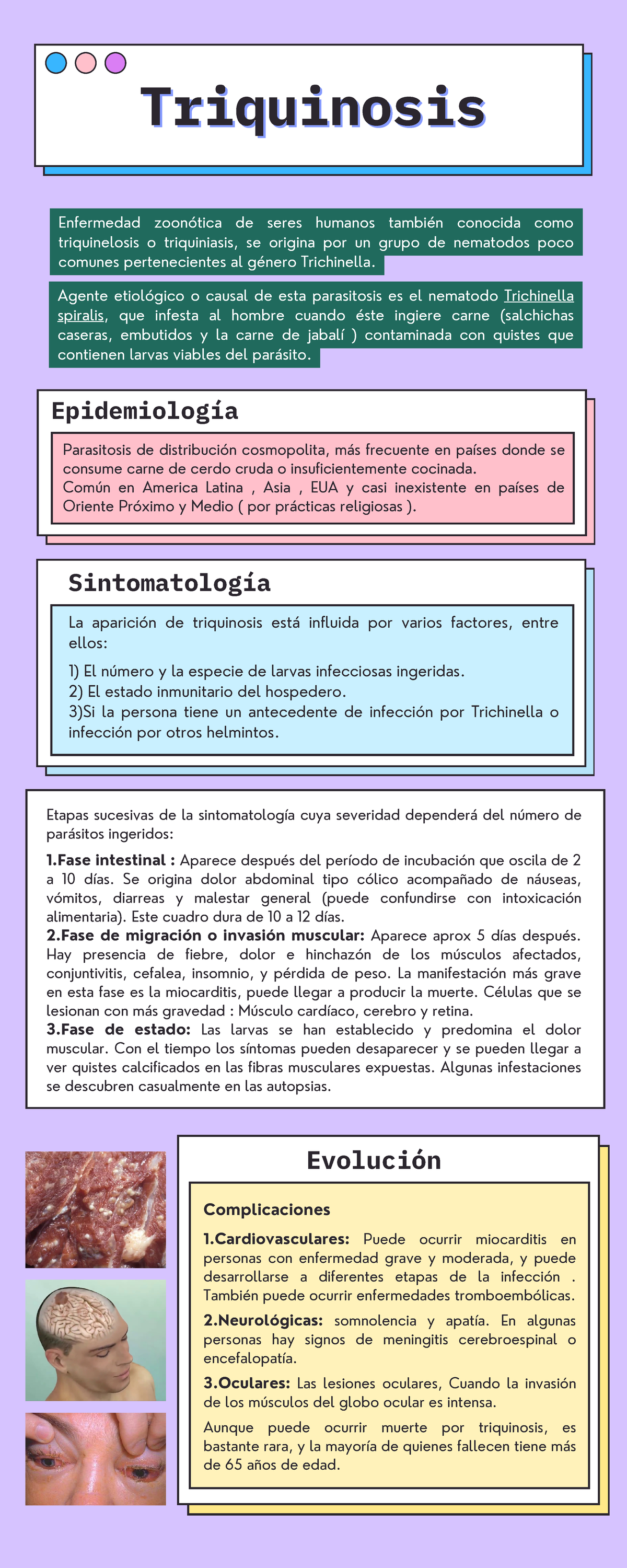 Triquinosis - Pequeño resumen del tema truiquinosis ...