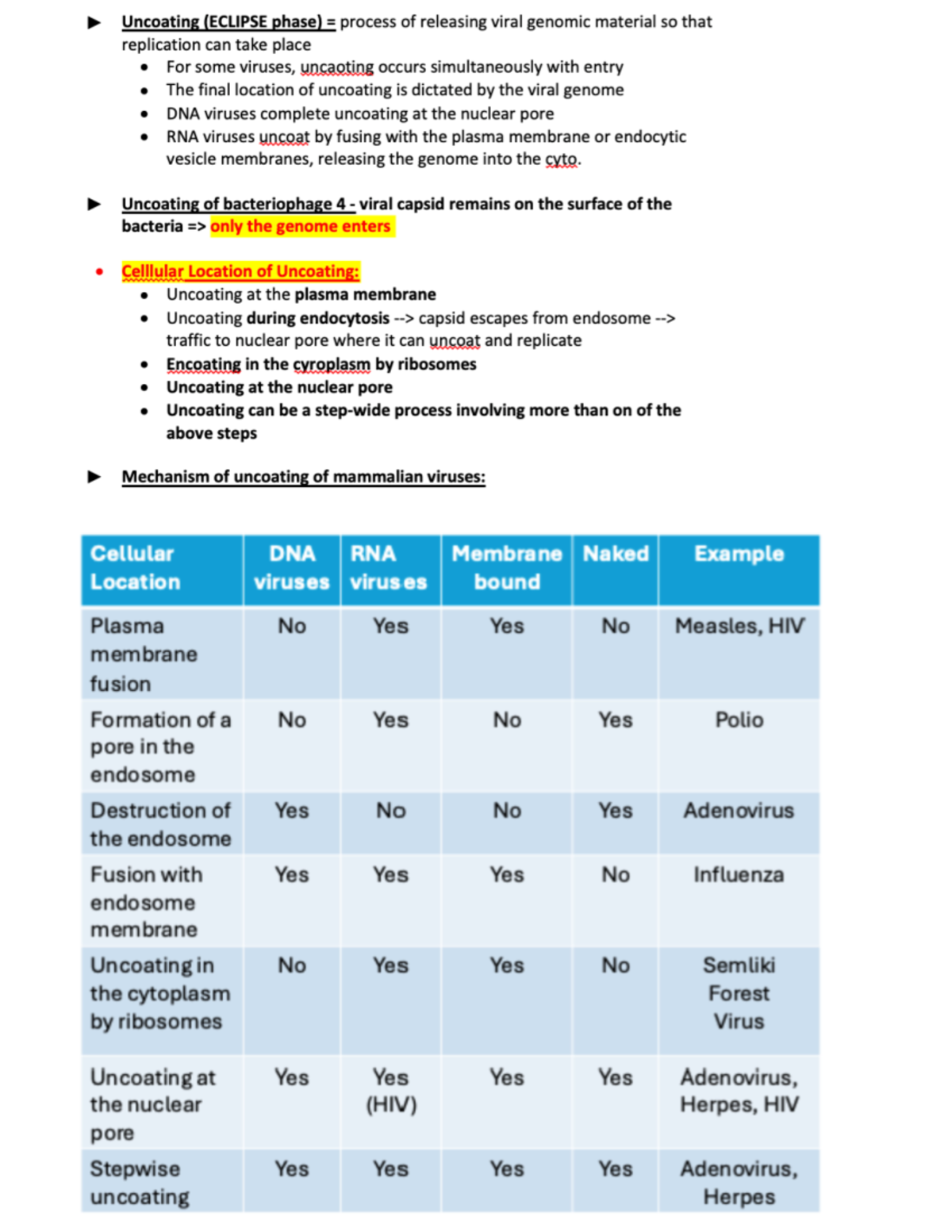 L.4 -Virology - Uncoating - Uncoating (ECLIPSE phase) process of ...
