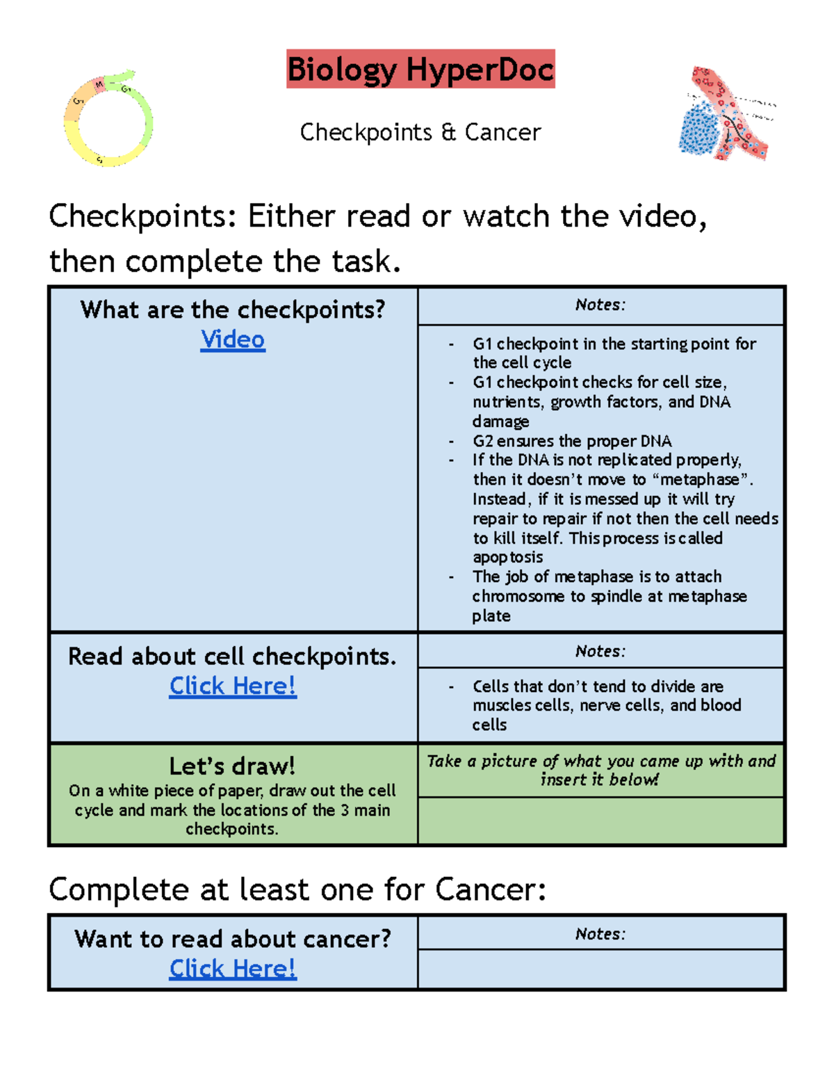 10sceince - science notes - Biology HyperDoc Checkpoints & Cancer ...