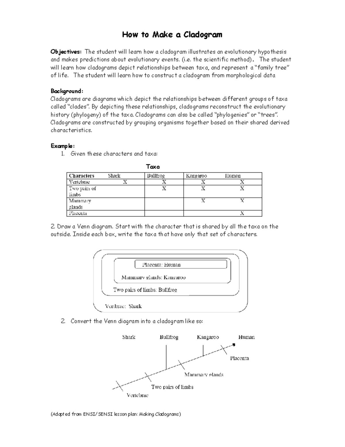 Kami Export - Gavin Mcevoy - How to make a cladogram - (Adapted from ...