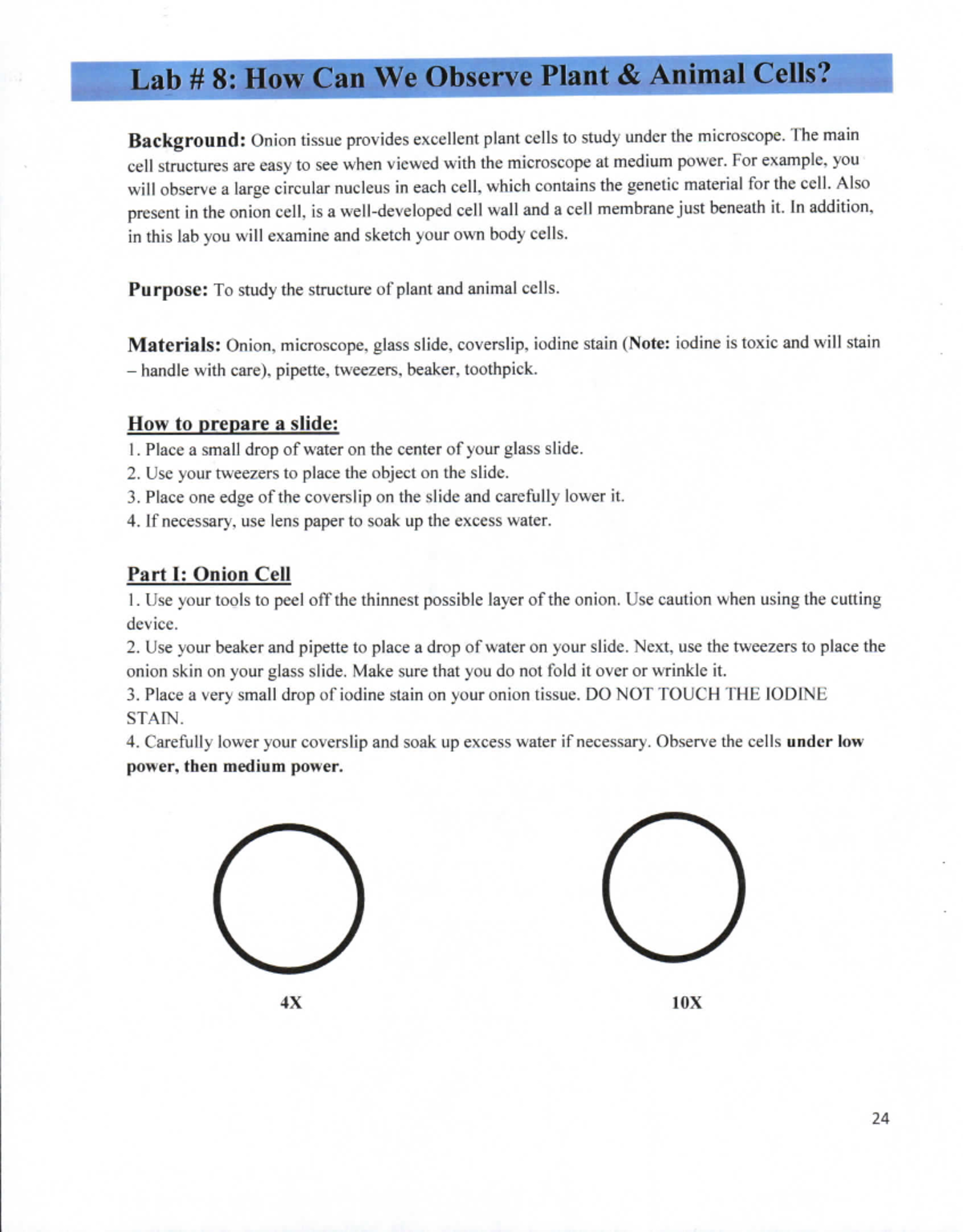 Plant and animal cells lab - BSC 2010 - Studocu