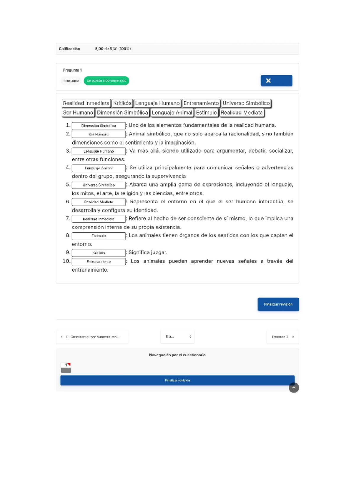Actividad 6 de filosofia arrastrar y soltar - Calificación 5,00 de 5,00 ...