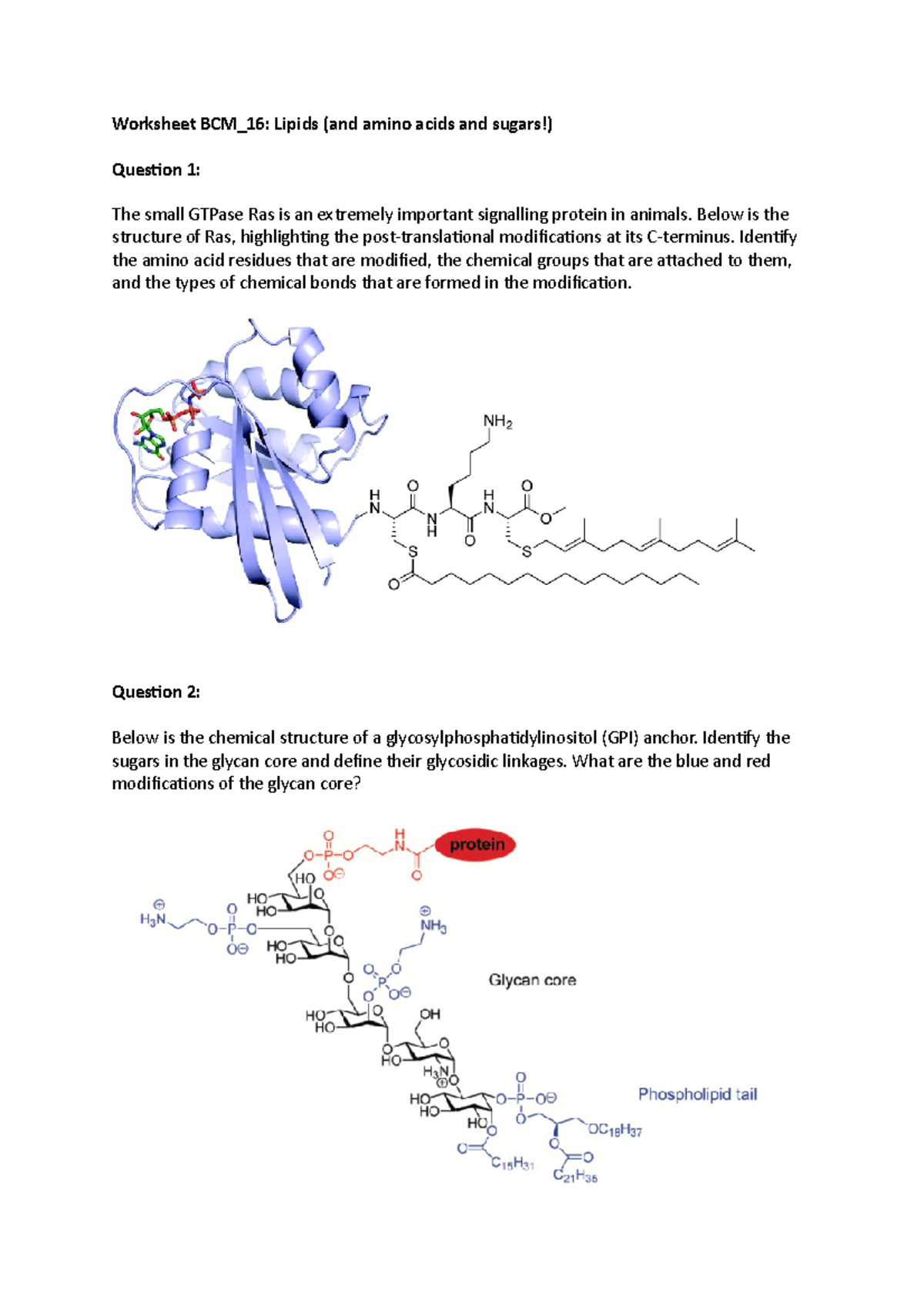 Lipids Worksheet - Worksheet BCM_16: Lipids (and amino acids and sugars ...