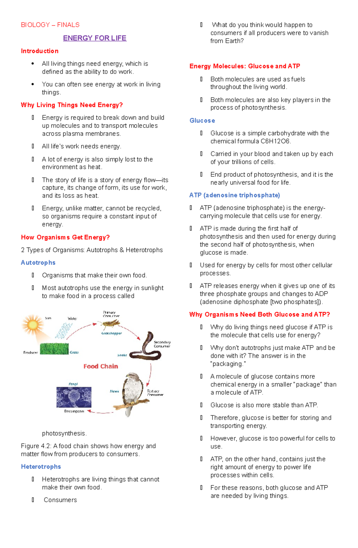 Biology: Energy for life handouts - BIOLOGY – FINALS ENERGY FOR LIFE ...