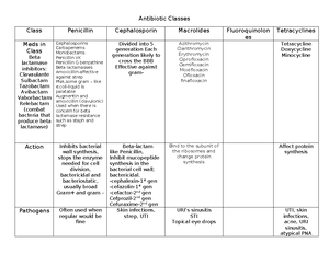 Active Learning Template Basic Concept - NUR 324 - ACTIVE LEARNING ...