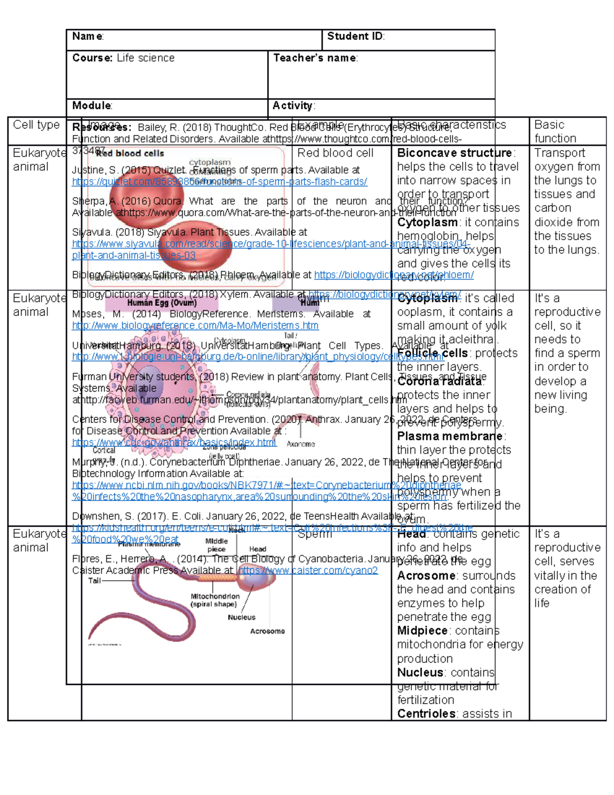 Exercise 3 Life science - Cell type Image Example Basic characteristics ...