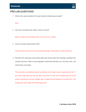 Lab 5 - Lab 5 - PRE-LAB QUESTIONS 1. Label the following microscope using the components ...