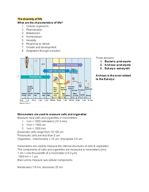 [Solved] A Clostridium difficile B Streptococcus salivarius C ...