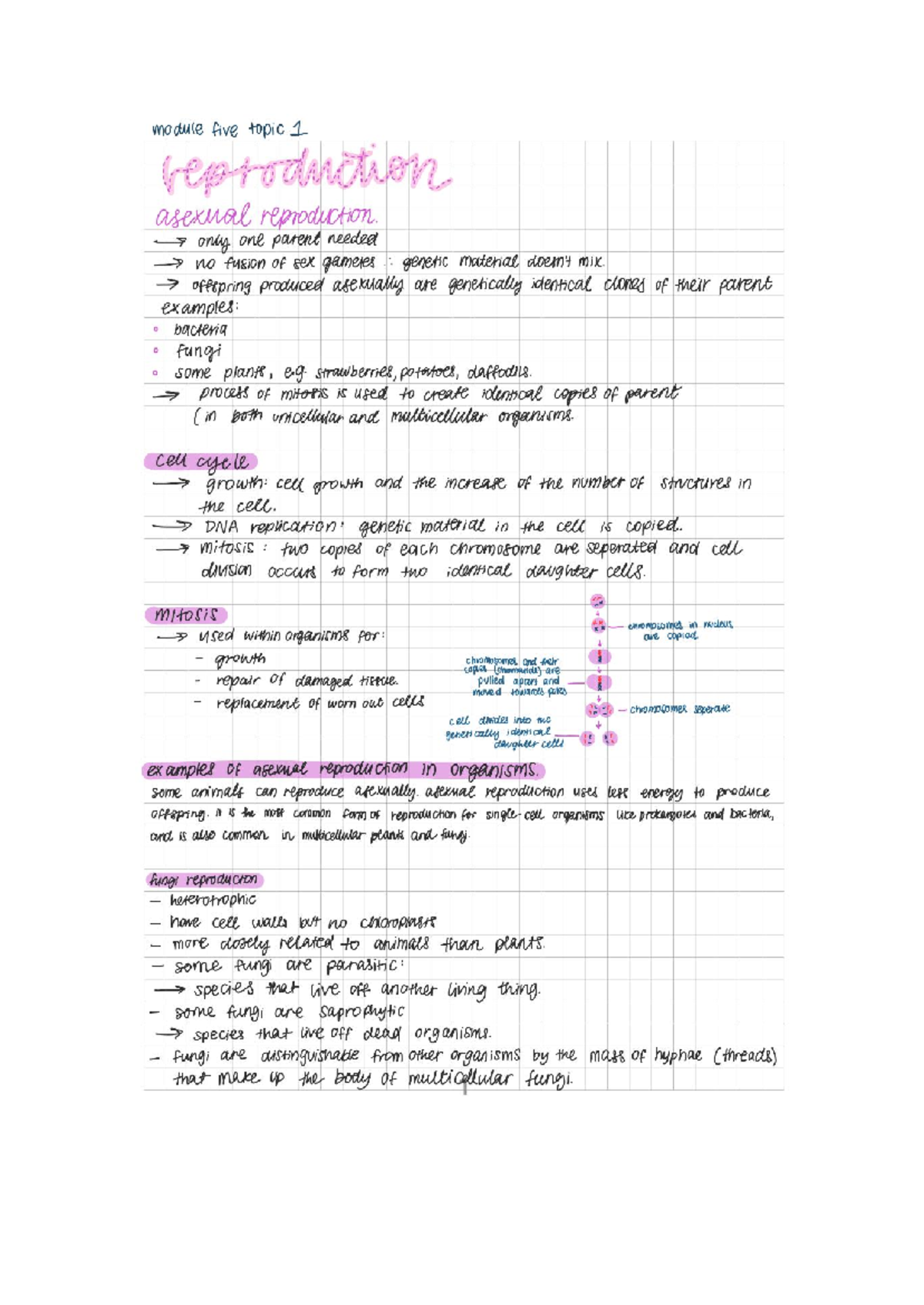 Untitled document - page - module five topic 1 reproduction asexual ...