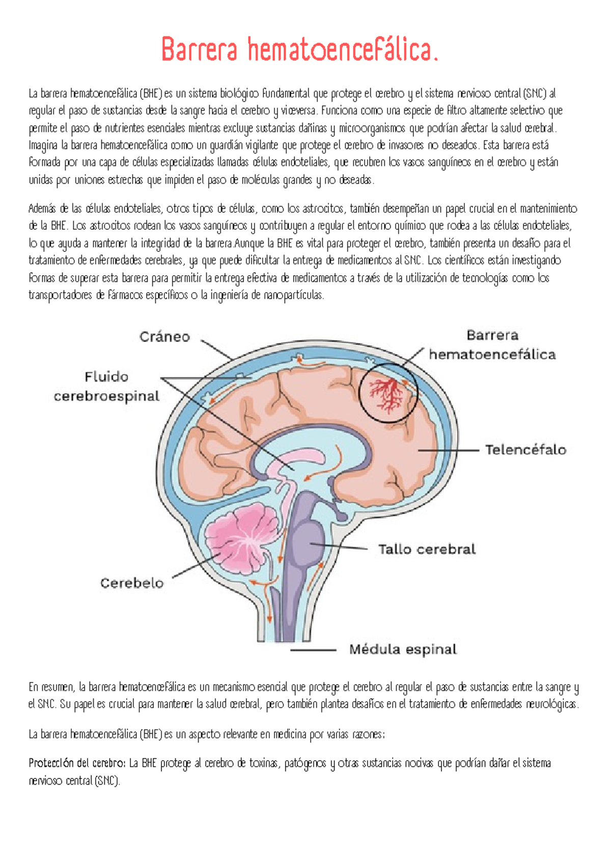 Barrera hematoencefálica - La barrera hematoencefálica (BHE) es un ...