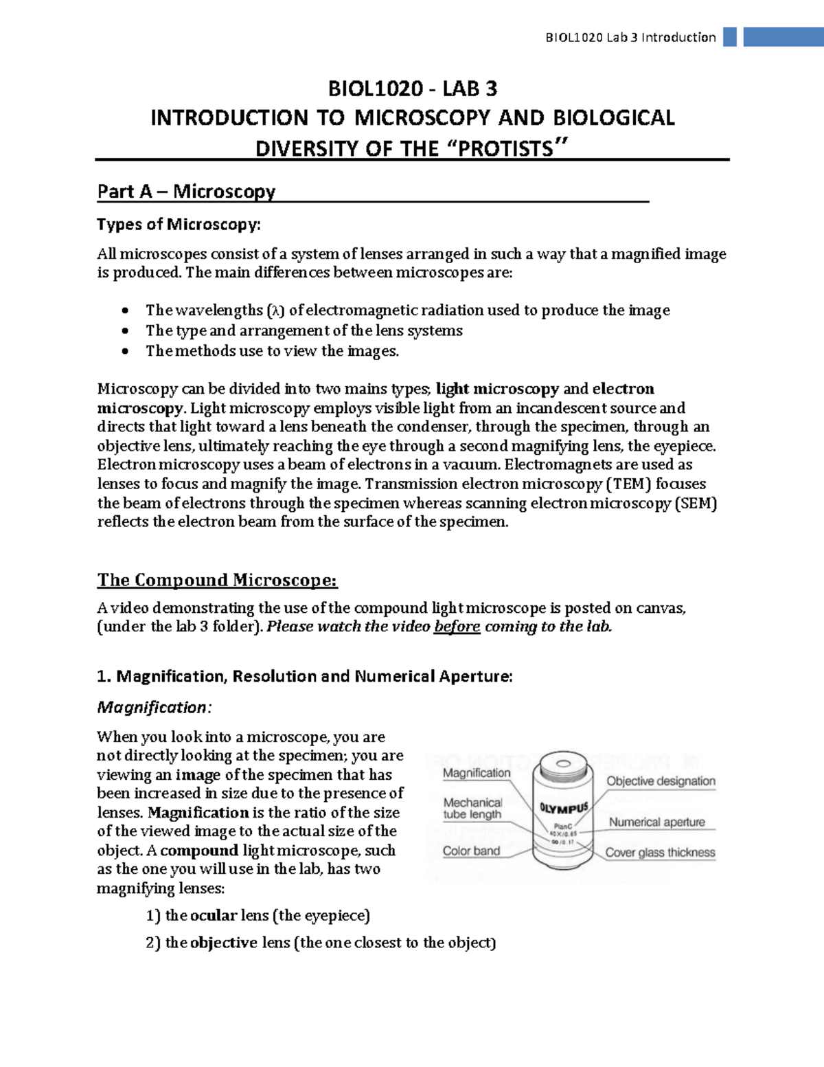 Lab 3-Introduction W2024 - BIOL1020 - LAB 3 INTRODUCTION TO MICROSCOPY ...