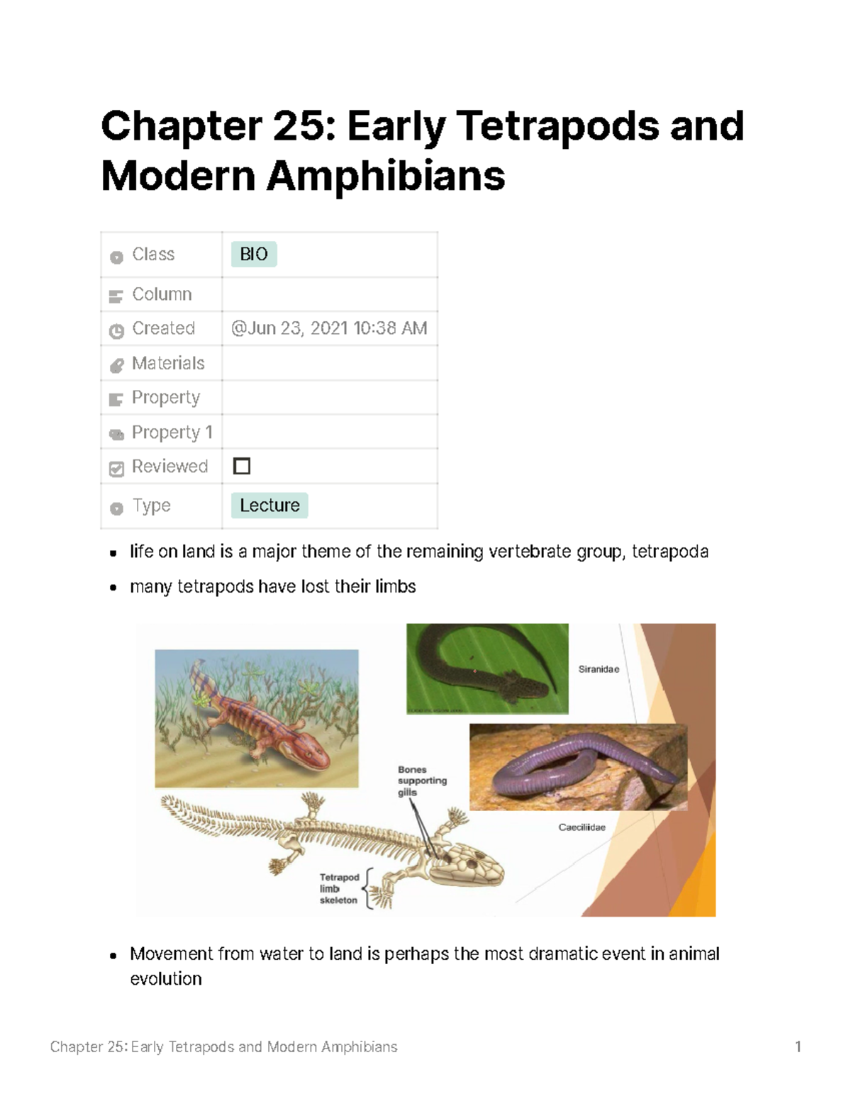 Chapter 25 Early Tetrapods and Modern Amphibians - BIO 1303 - A-State ...