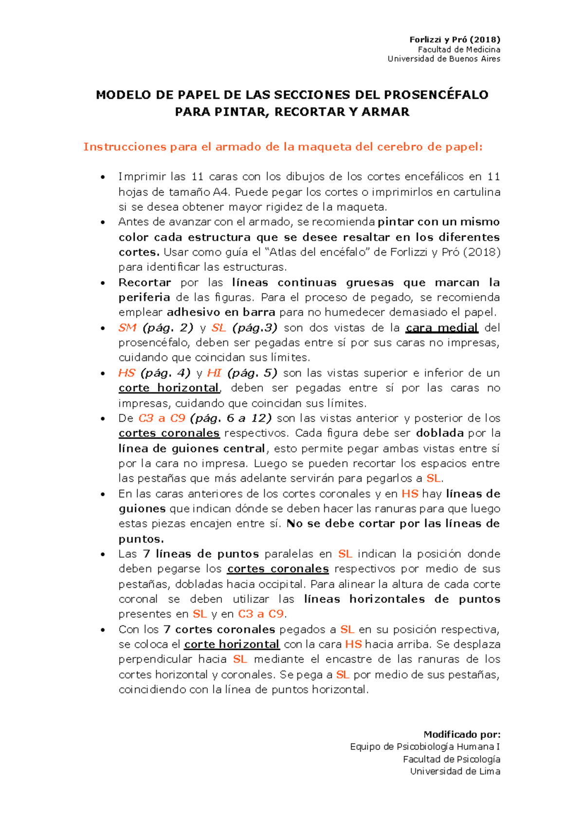 (1) Forlizzi y Pró (2018 ) - Modelo de maqueta del cerebro de papel ...