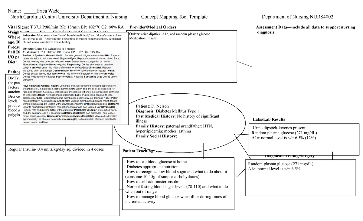 Concept Mapping Cover Template (1) (6) - Name: Erica Wade ...