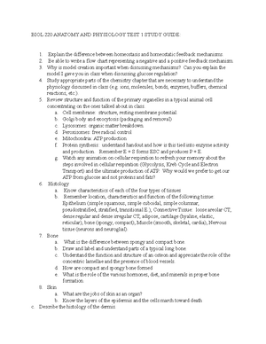 Exam 4 Practical List - Summary Survey Of Human Anat& - Exam #4 Gross ...